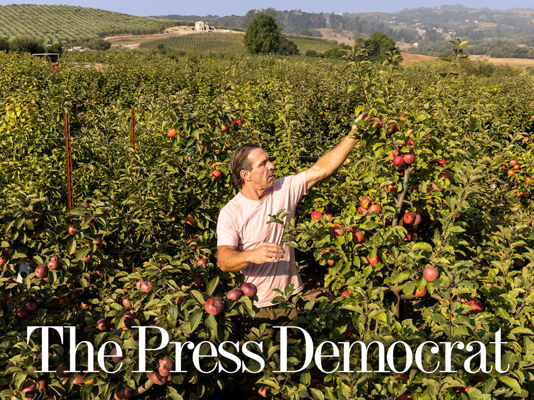 Blossom tour and tasting at Gold Ridge Organic Farms - Gold Ridge ...