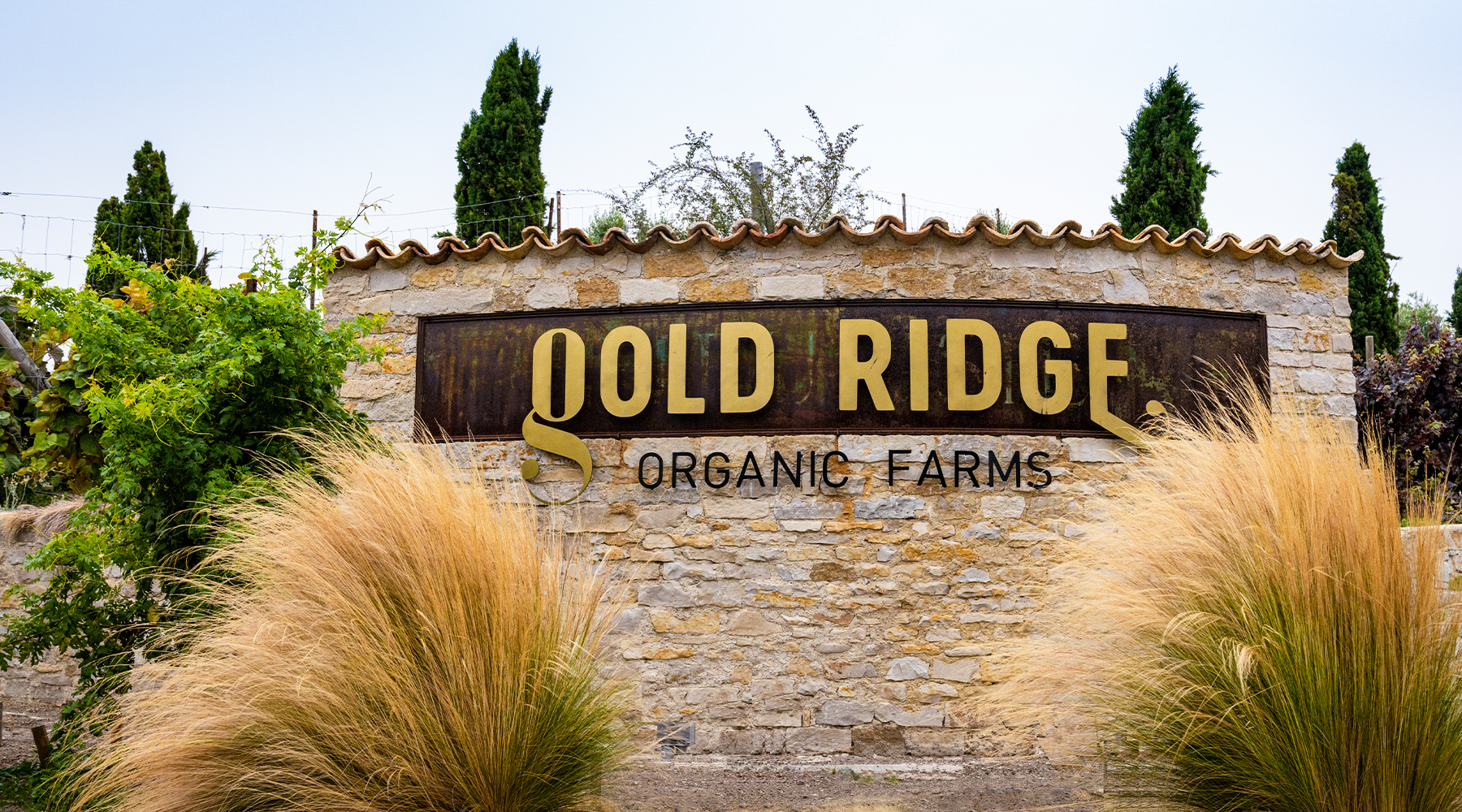 Reserve Now - Gold Ridge Organic Farms | Taste the Bounty of Sonoma County
